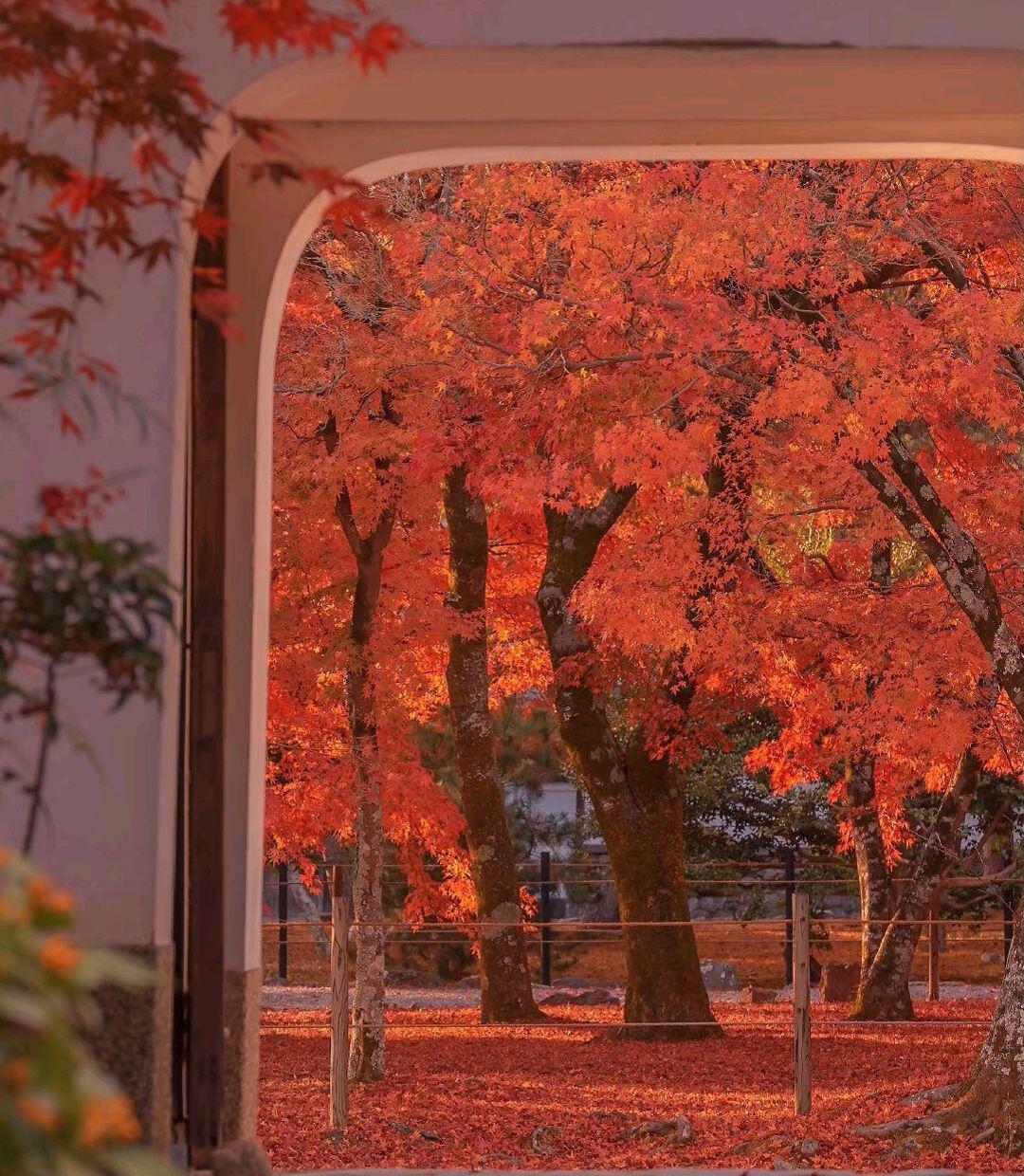9 beautiful poems about autumn, poetic and picturesque, love the ...
