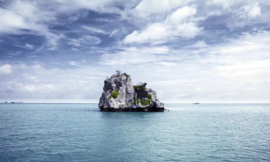 No one is an island, we are more real in the long history - iNEWS