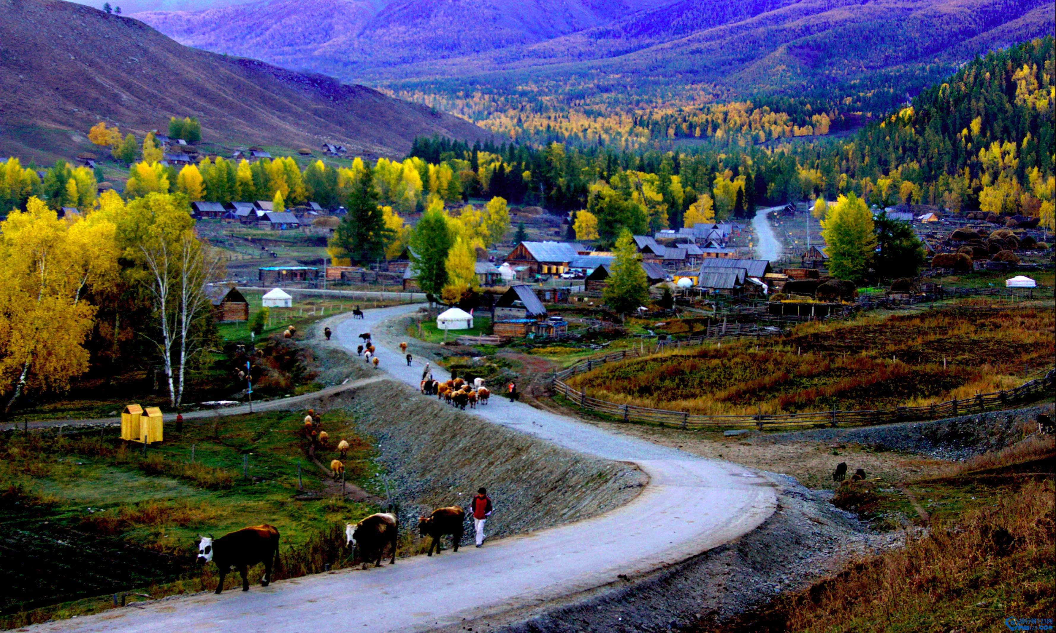 A trip to Xinjiang, a love affair with a Russian girl - iNEWS
