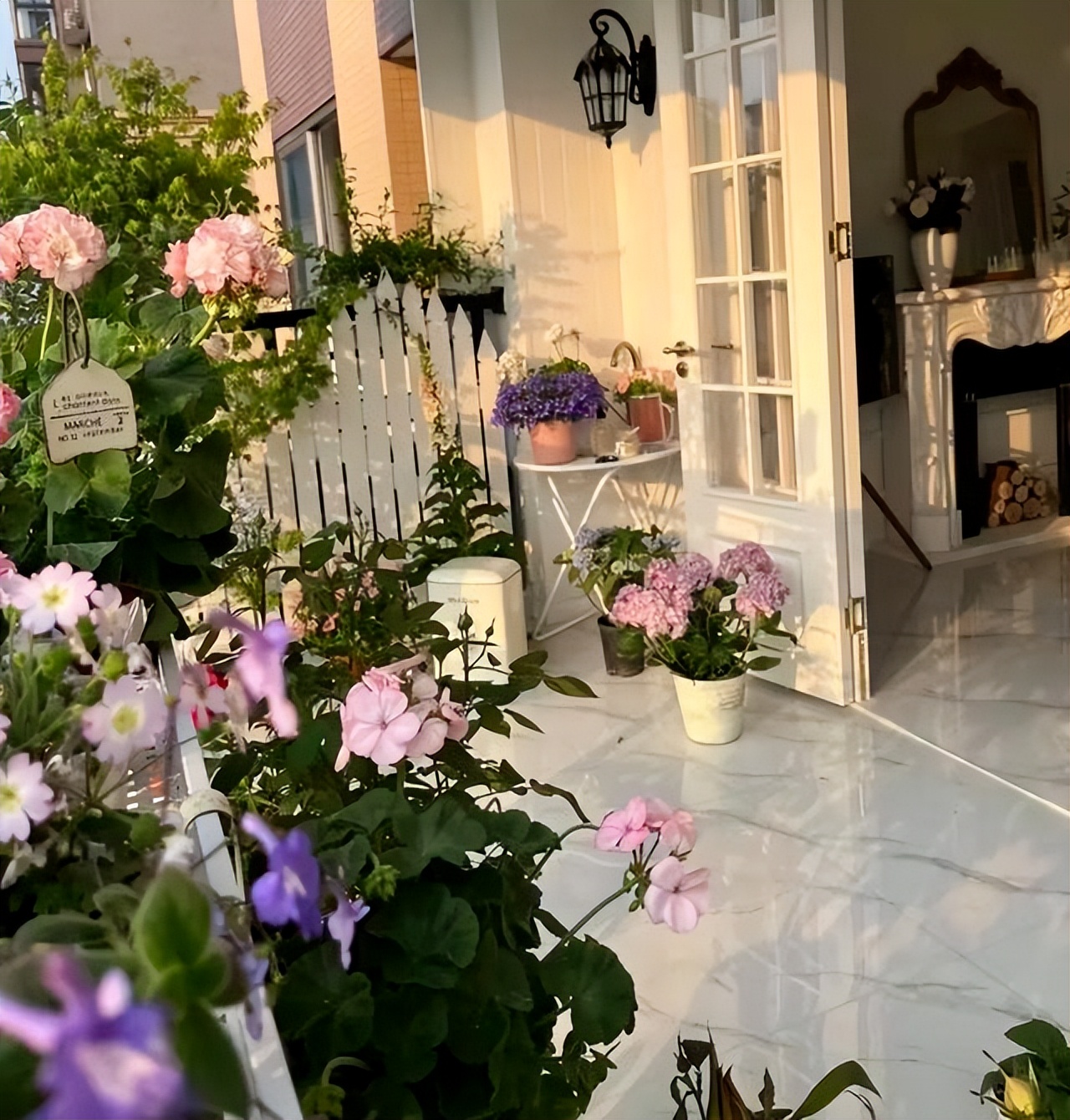 The living room of the star Song Dandan's house only grows 5 types of ...