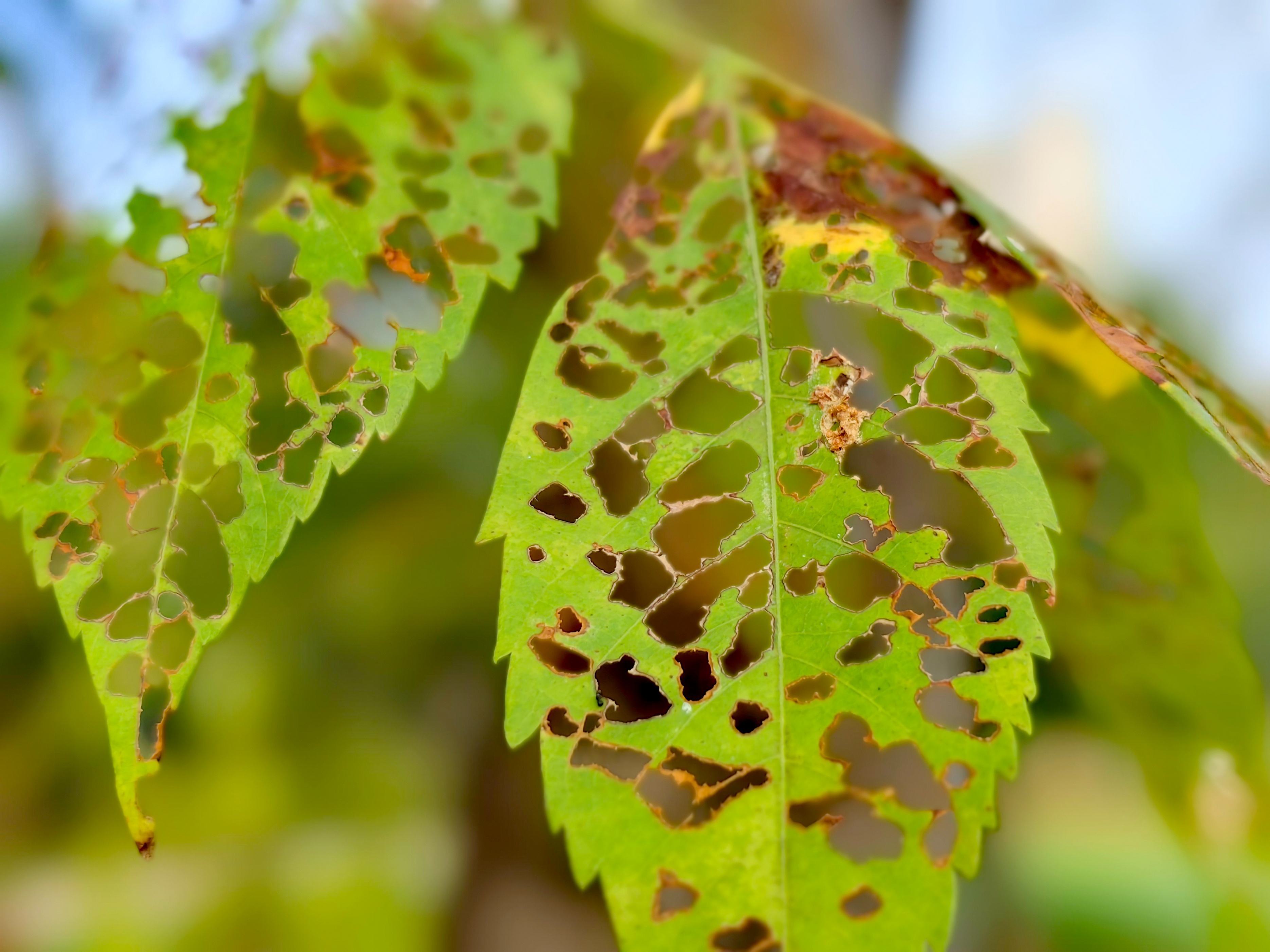 Jie Hu's mind and magnanimity: Don't avoid relatives and enemies when promoting virtuous people ...