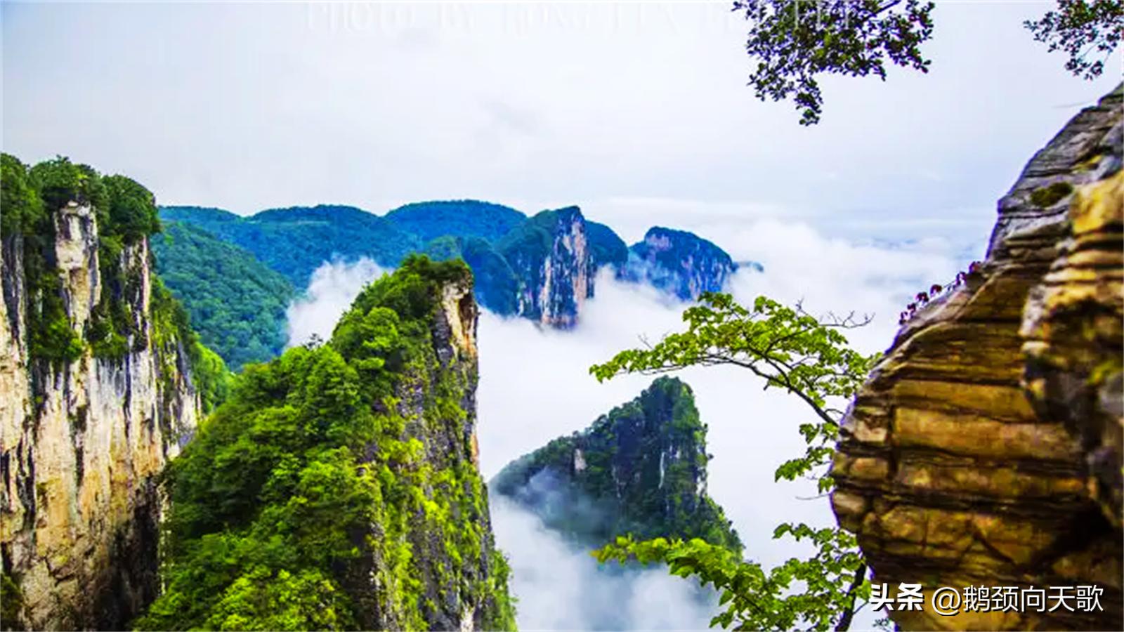 Enshi Yellow Crane Peak Forest, strange peaks and rocks, rich Tujia ...