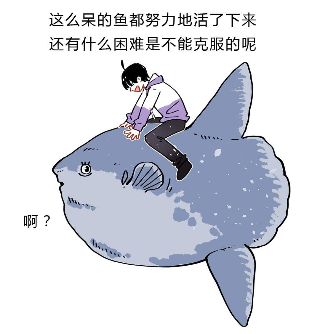 There is a kind of fish called sunfish, and the "Death Dafa" displayed ...