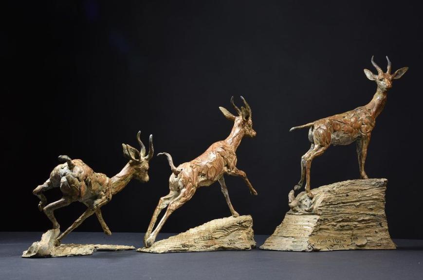 Hamish Mackie's vibrant animal sculptures - iNEWS