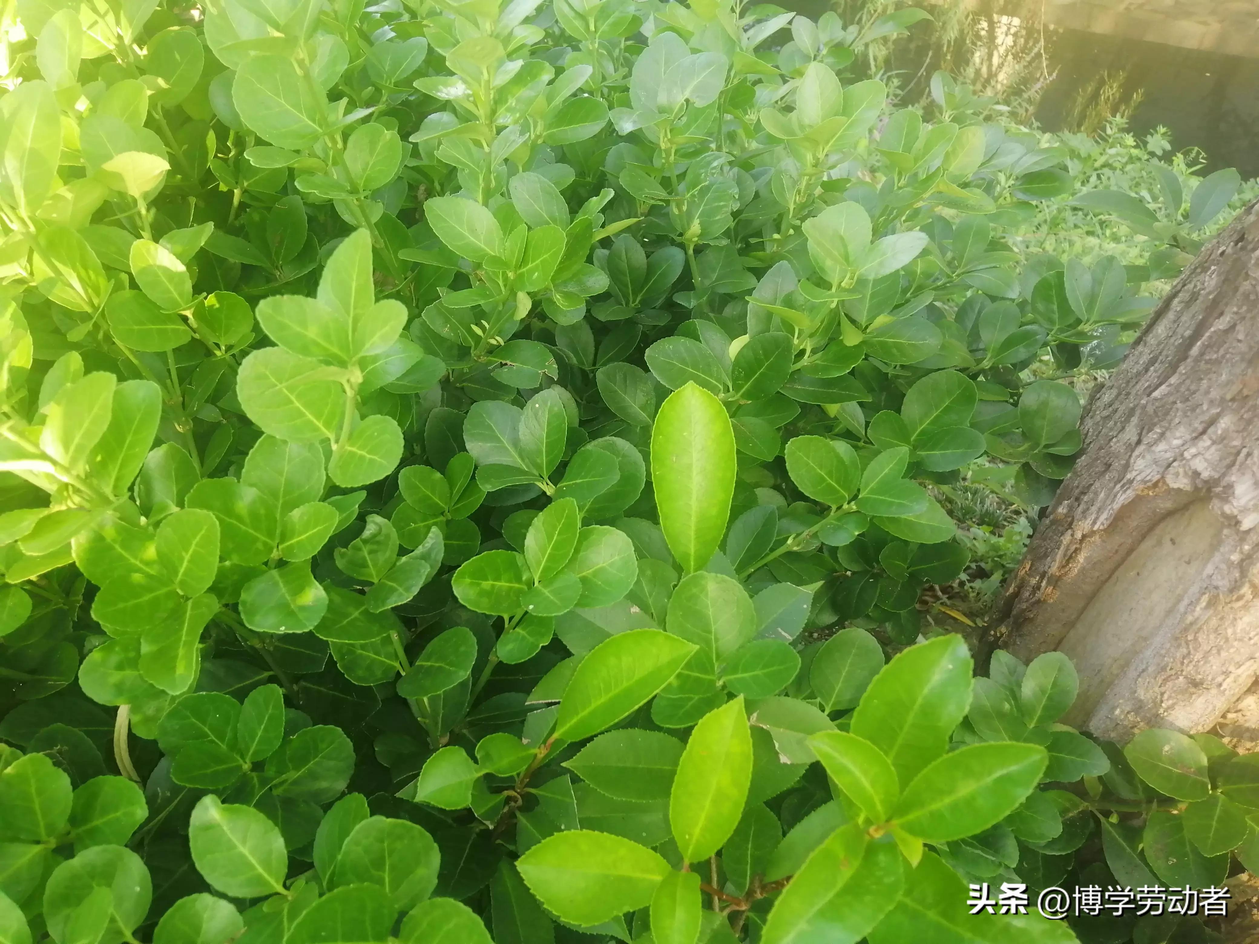 "Zhi Jing": There is no limit to profit, and when life is exhausted ...