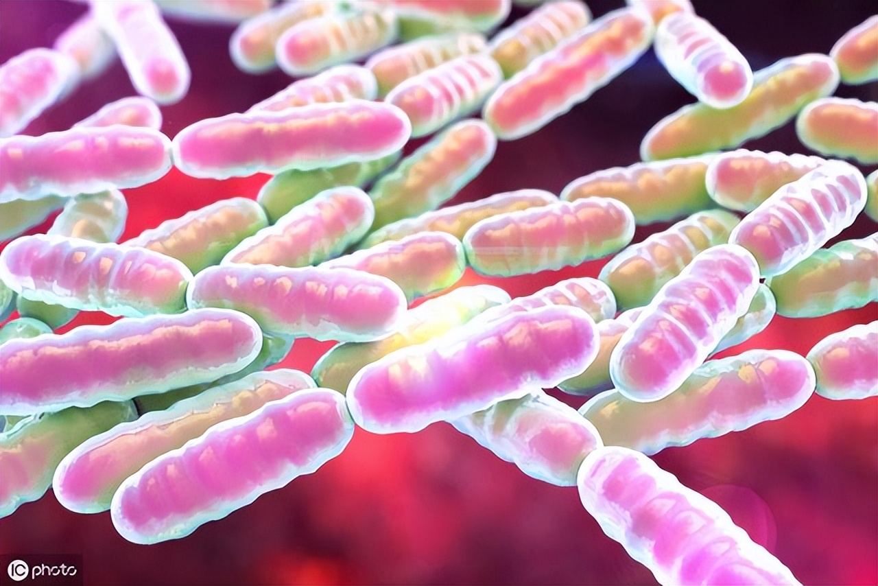 How to reduce the adverse effects of antibiotics on intestinal flora ...