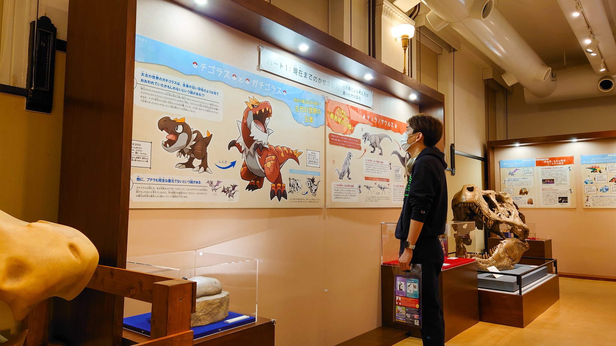 Fossil-loving archaeologists in search of ancient Pokémon heritage ...