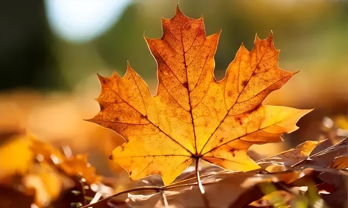 Autumn health care, these points should be paid attention to - iNEWS