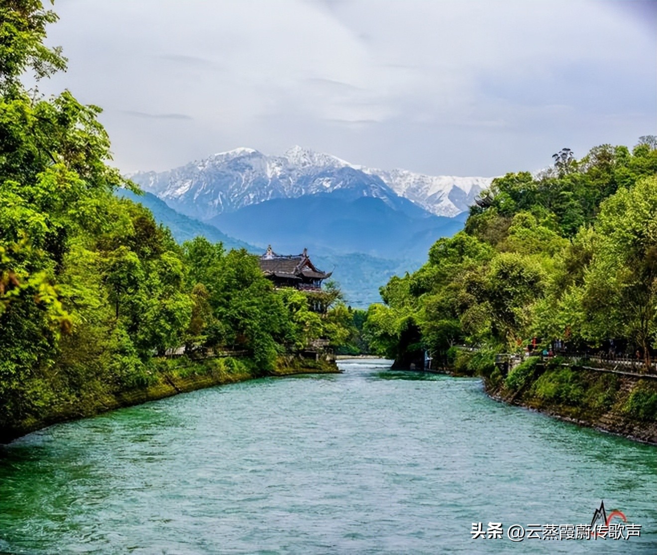 In Dujiangyan, a tree blossoms through the spring - iNEWS