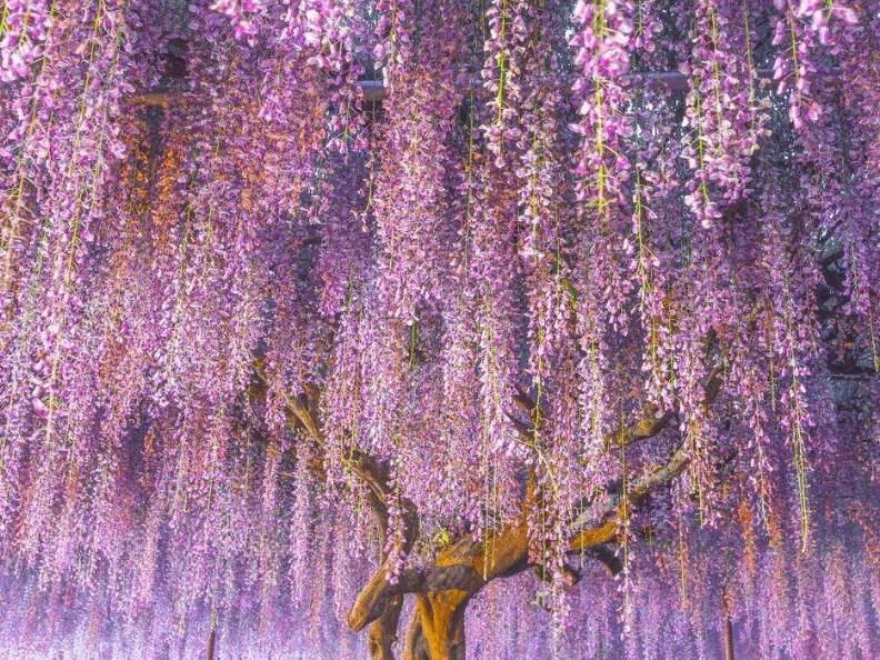 Eternal love: deep thinking under the moon, the same life - iMedia