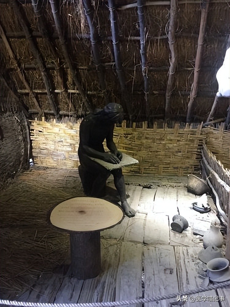 On the Origin and Settling Factors of the Ancient Hemudu People - iNEWS