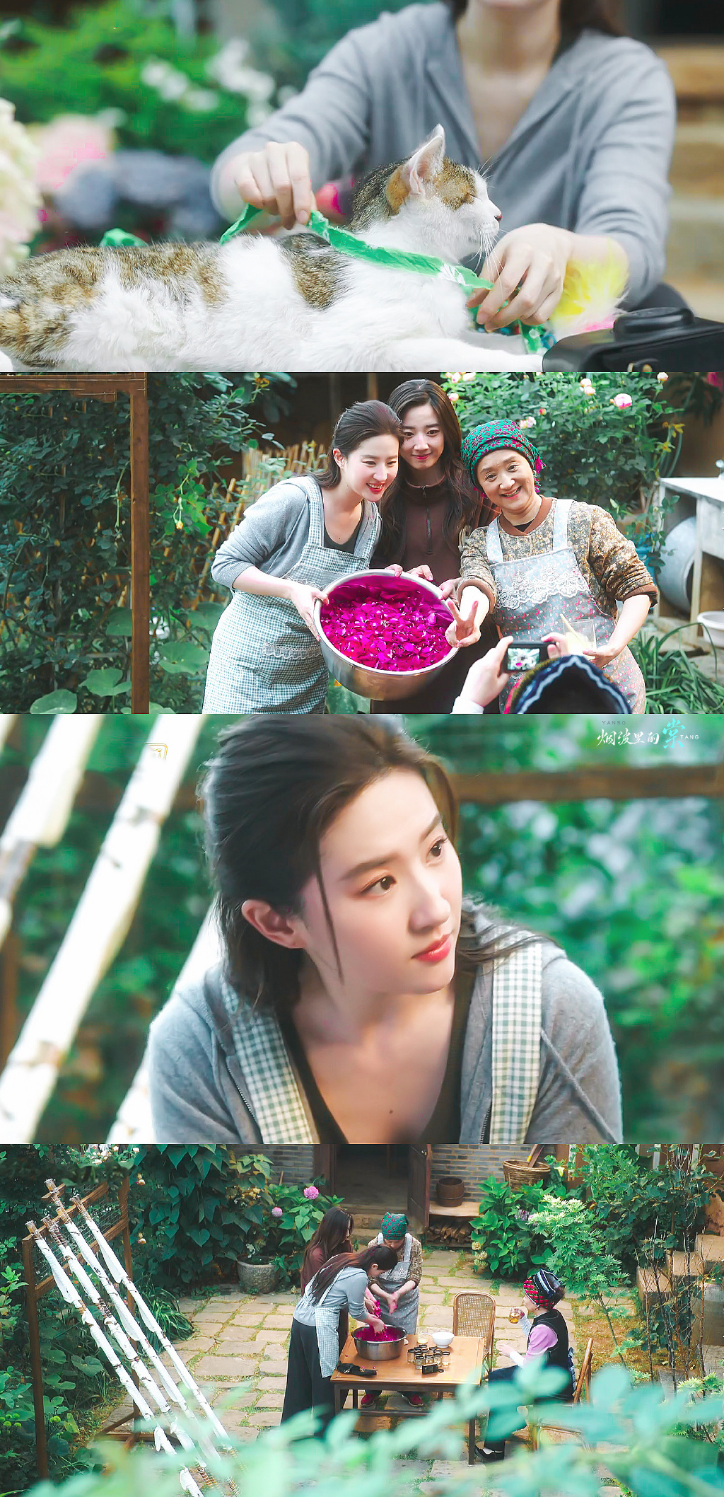 The picturesque Dali and Liu Yifei's Xu Hongdou both make people feel ...