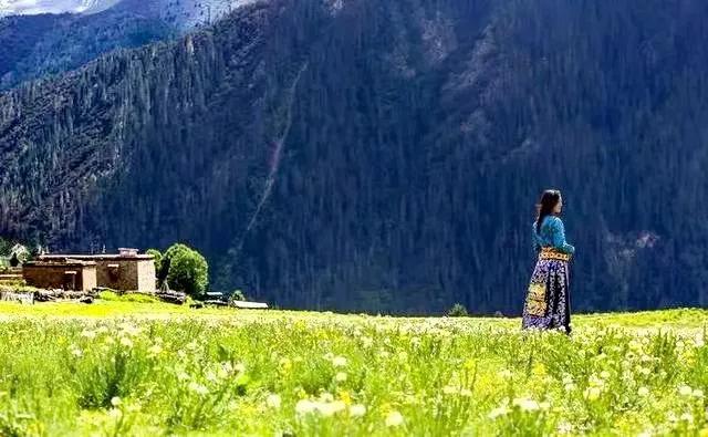 Snow in Genie Snow Mountain - iNEWS