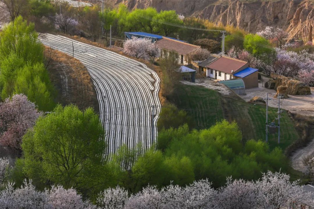Spring in the mountains and villages can't be closed!Huining Xinglin ...
