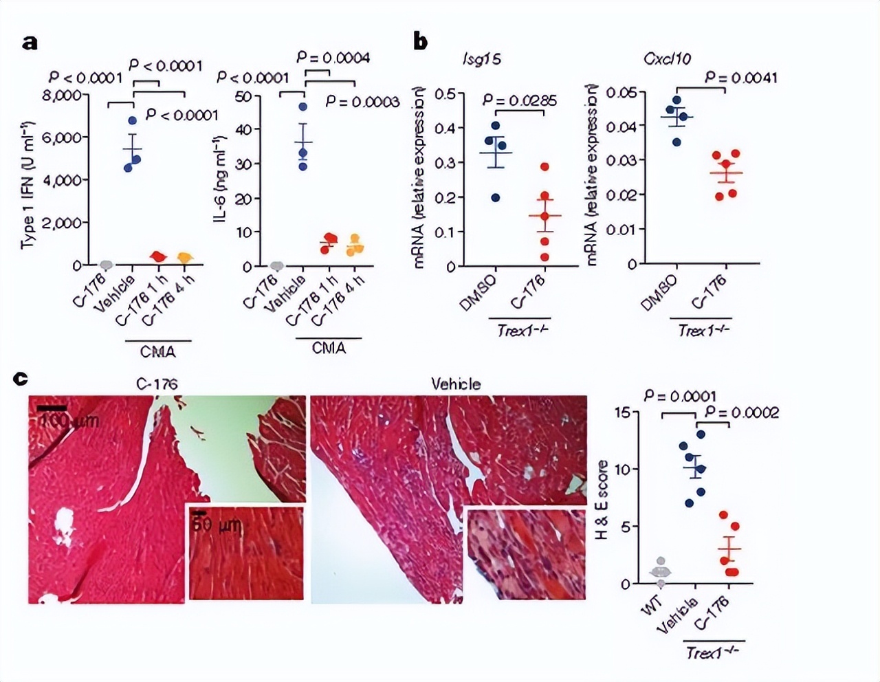 Covalent inhibitors targeting STING proteins - iNEWS