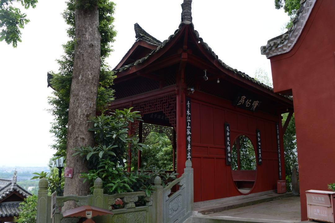 Ma Yifu in Tu Chenxin's eyes: Looking back at fellow countryman Ma Yifu, we can realize a lot ...