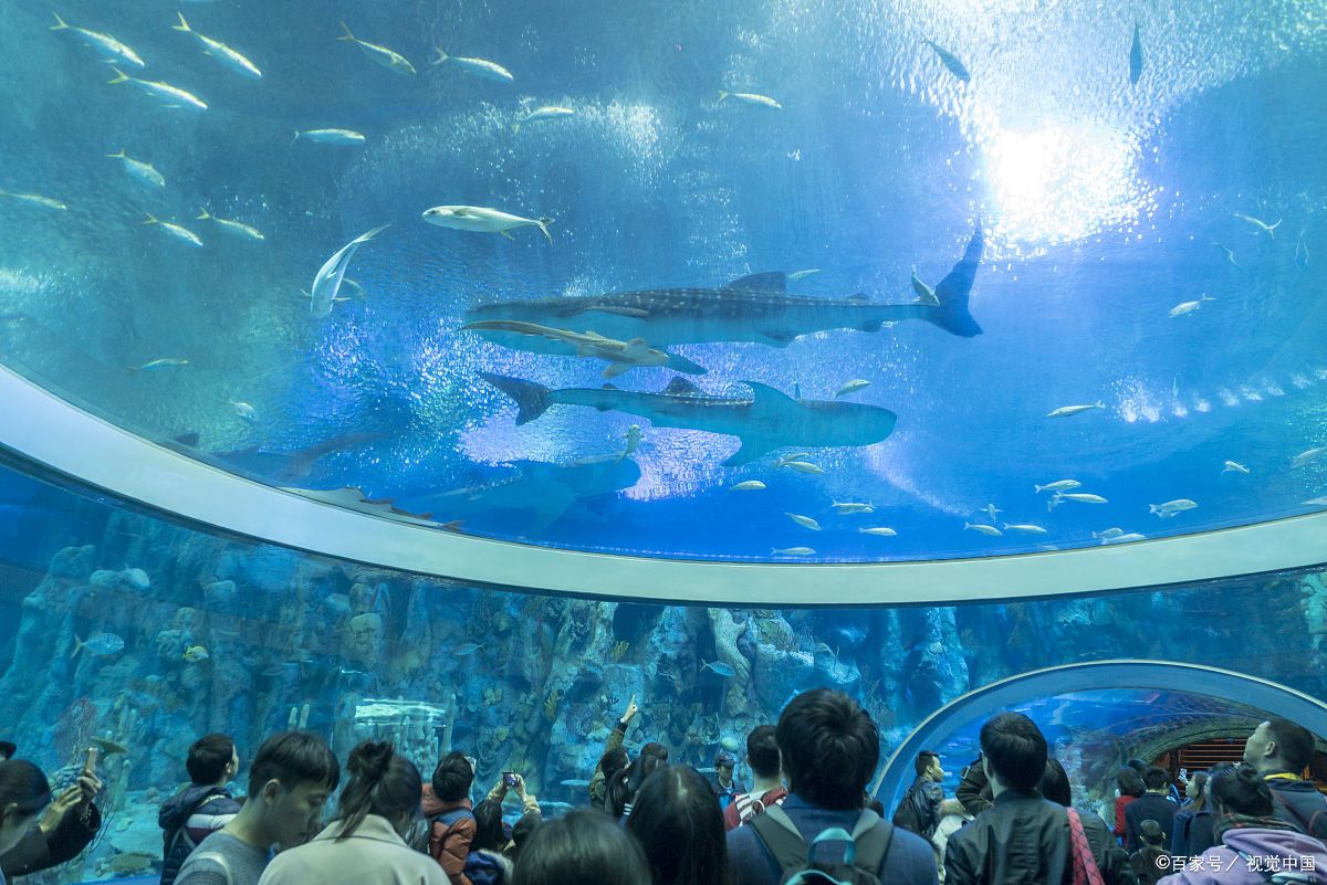 Coastal China: A Dreamy Journey in Pursuit of the Beauty of the Ocean ...