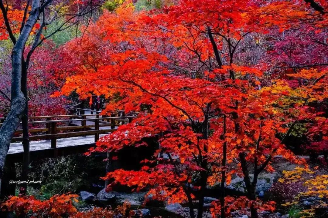 Pan Gu created the world - iNEWS