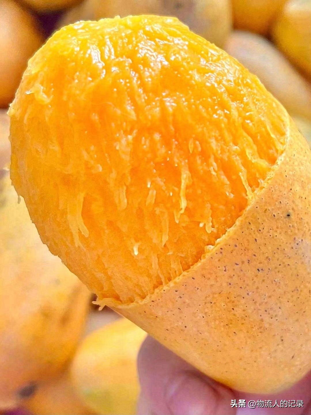 Fruit Hainan Xiaotai Nong Mango Moments copywriting with pictures - iNEWS