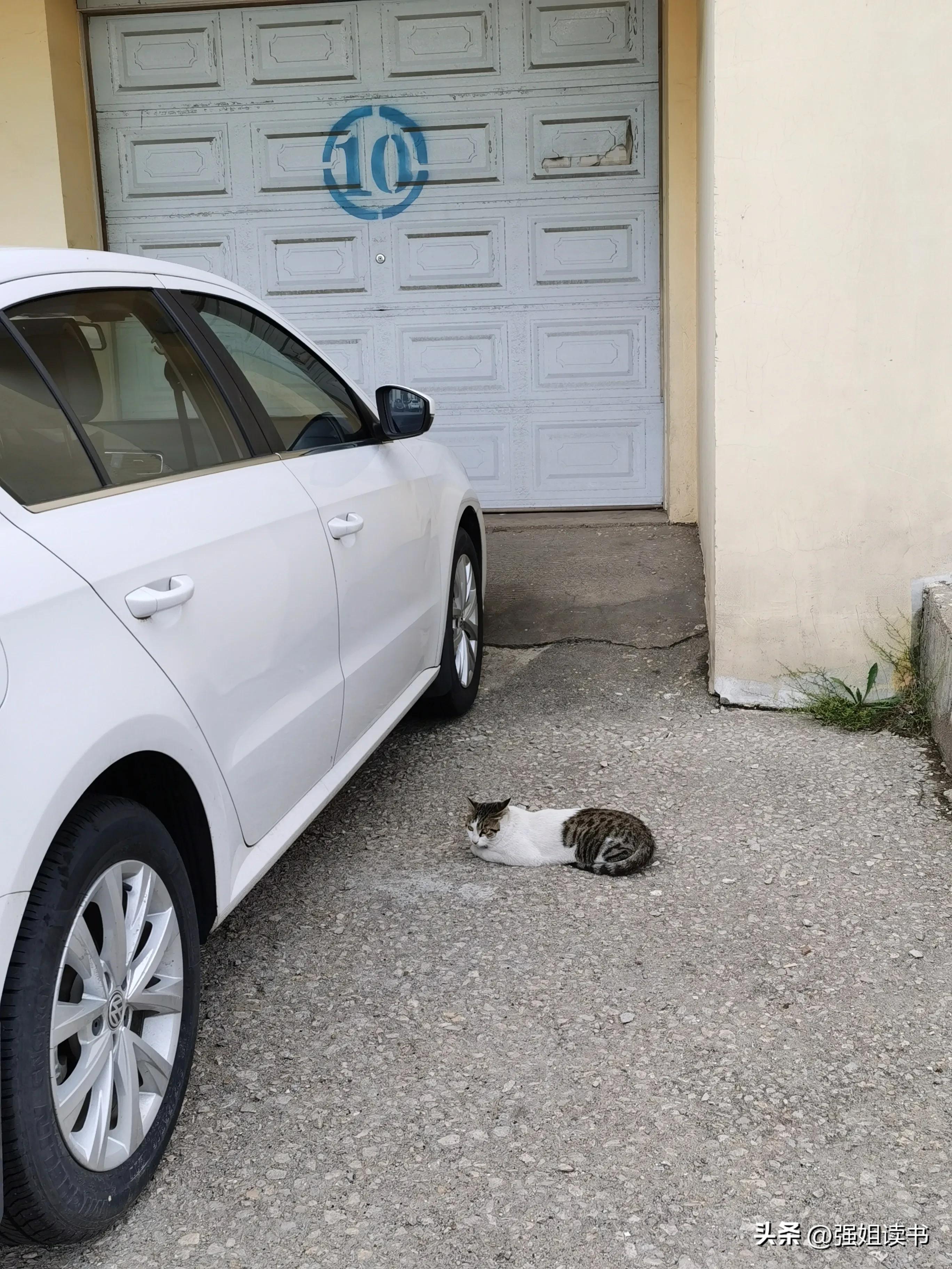 feeling home - iNEWS