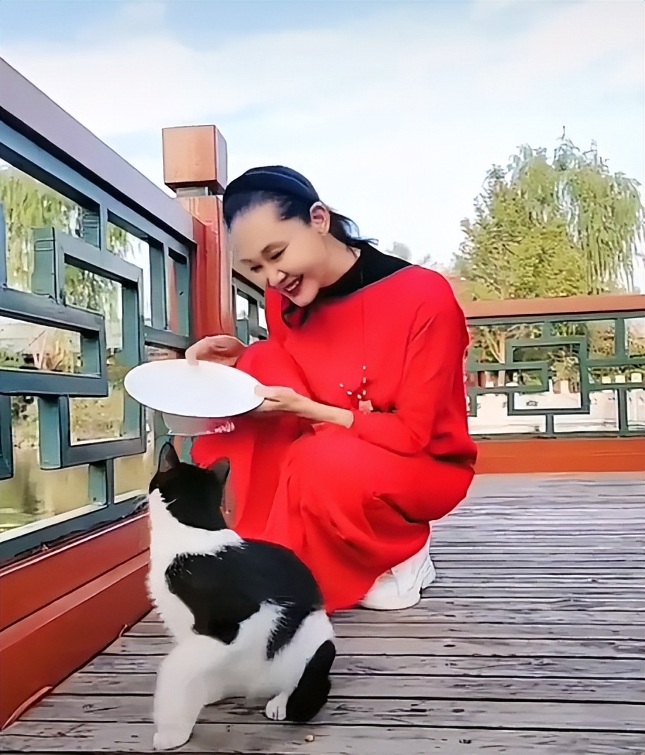Feed stray cats on Wenhua Street!Crouching down and wiping the kitten's mouth is so considerate ...