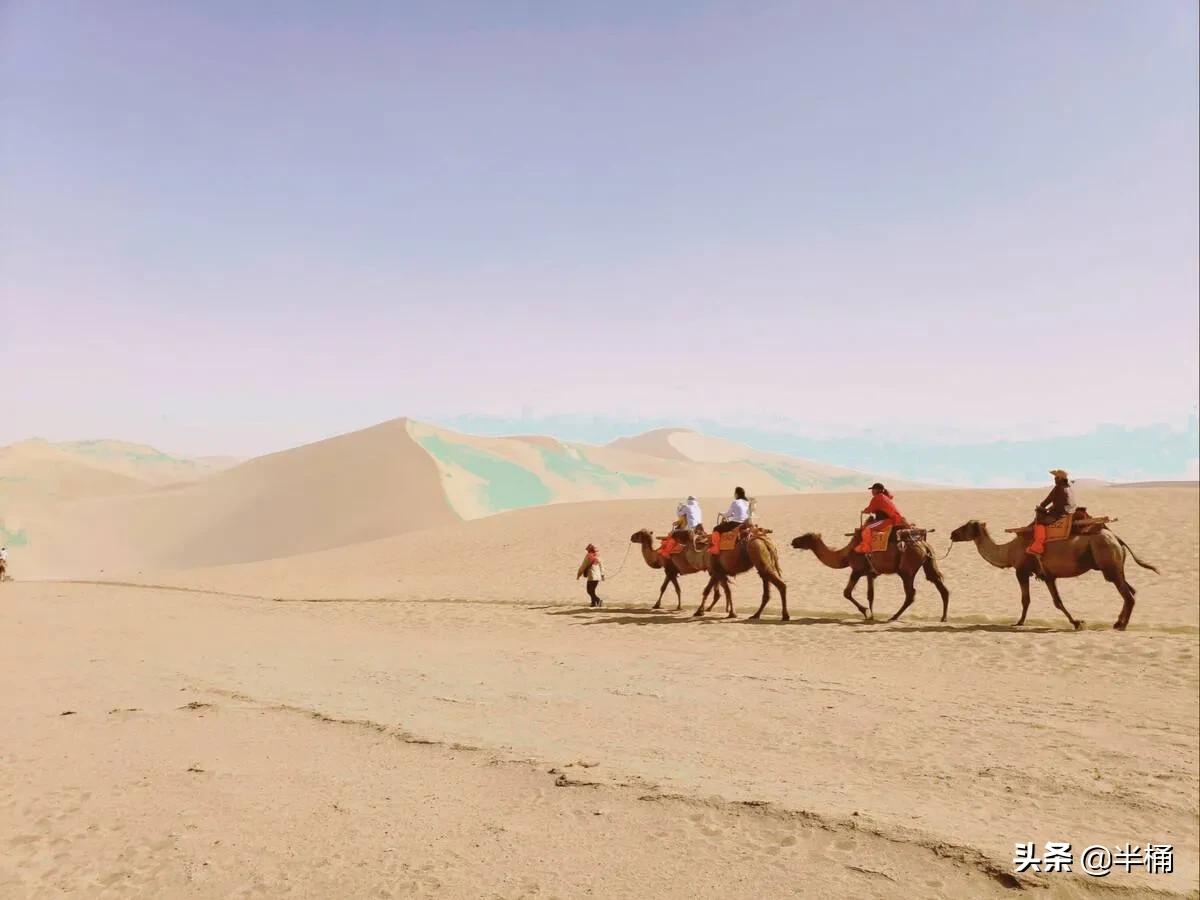 What are the natural enemies of camels?Why is it so rare to hear of ...