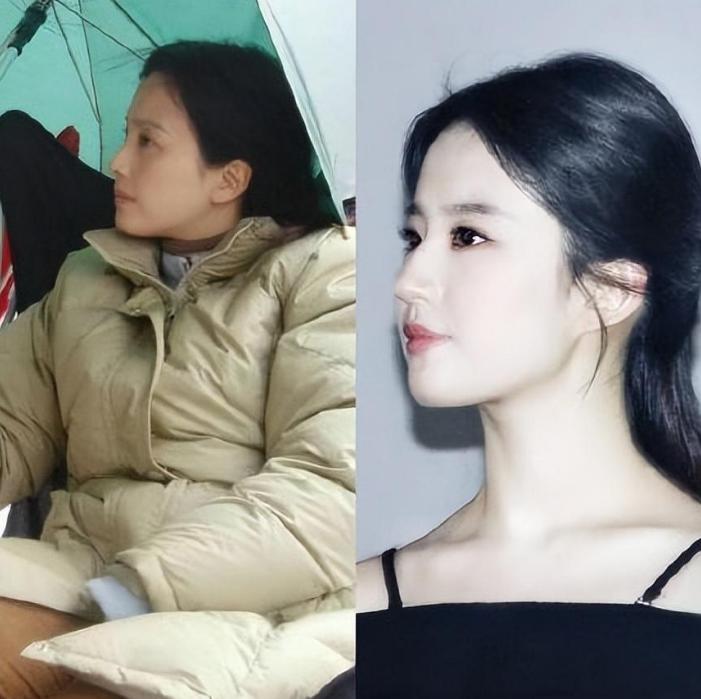 Liu Xiaoli: The career daughter chose the latter and gave up her dream. Does she regret it now ...