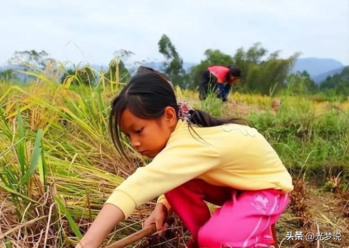 Li Ying, who scored 699 points in the exam in 19 years, chose to repeat ...