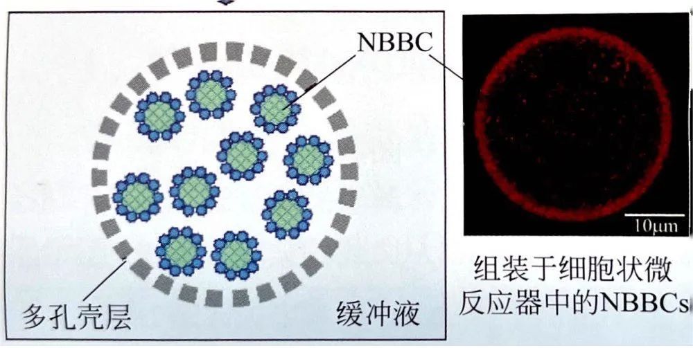 Microsphere definition and classification application - iMedia