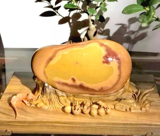 Breathtaking (231) - Yingtan Chen Jiaming's collection of stones - iNEWS