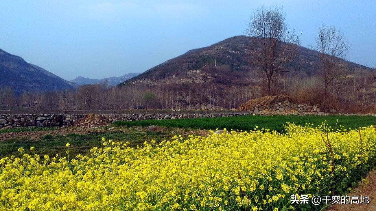 Lin Mang: The Hometown of Childhood - iNEWS