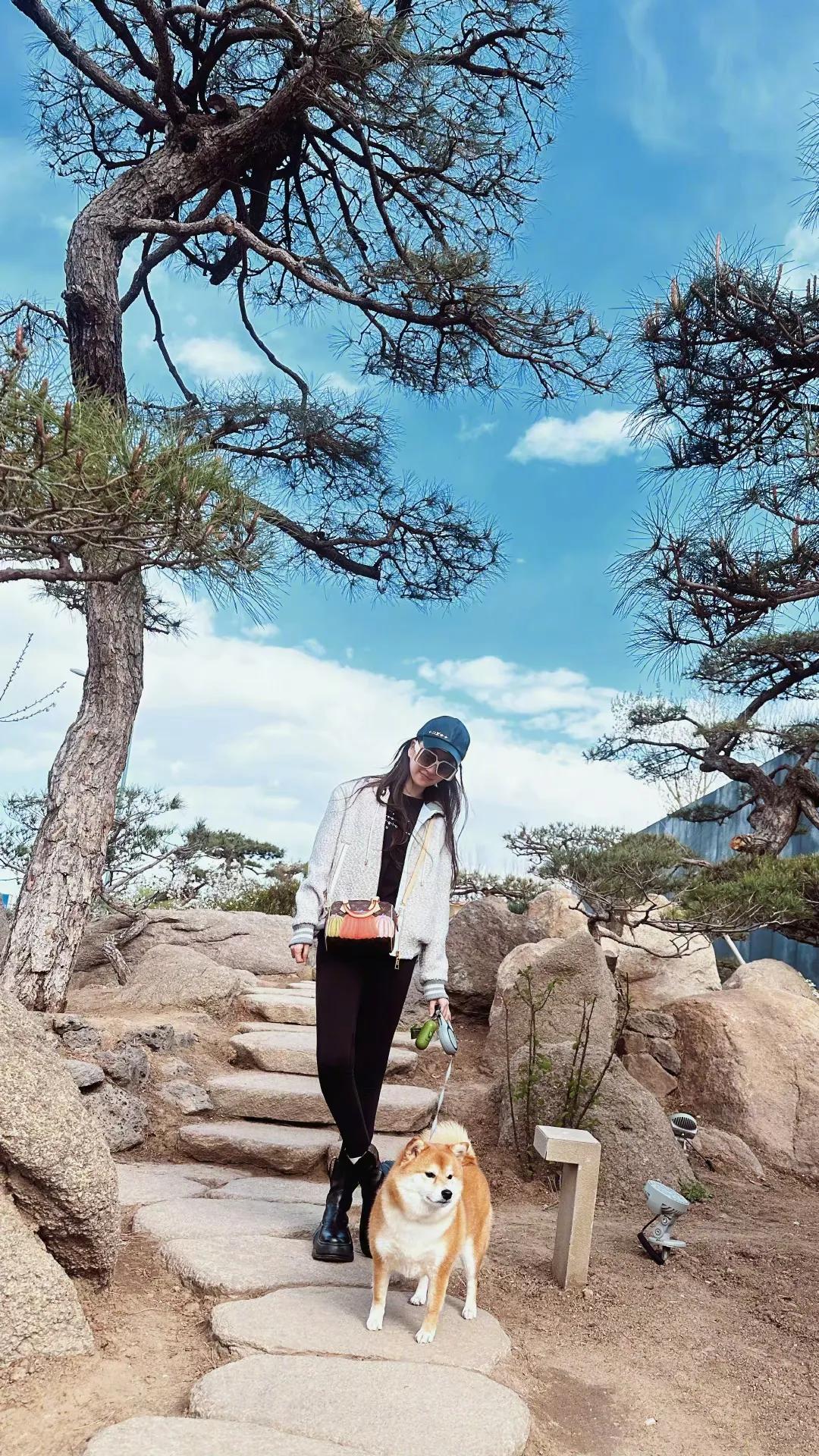 Liu Yifei sun selfie - iMedia