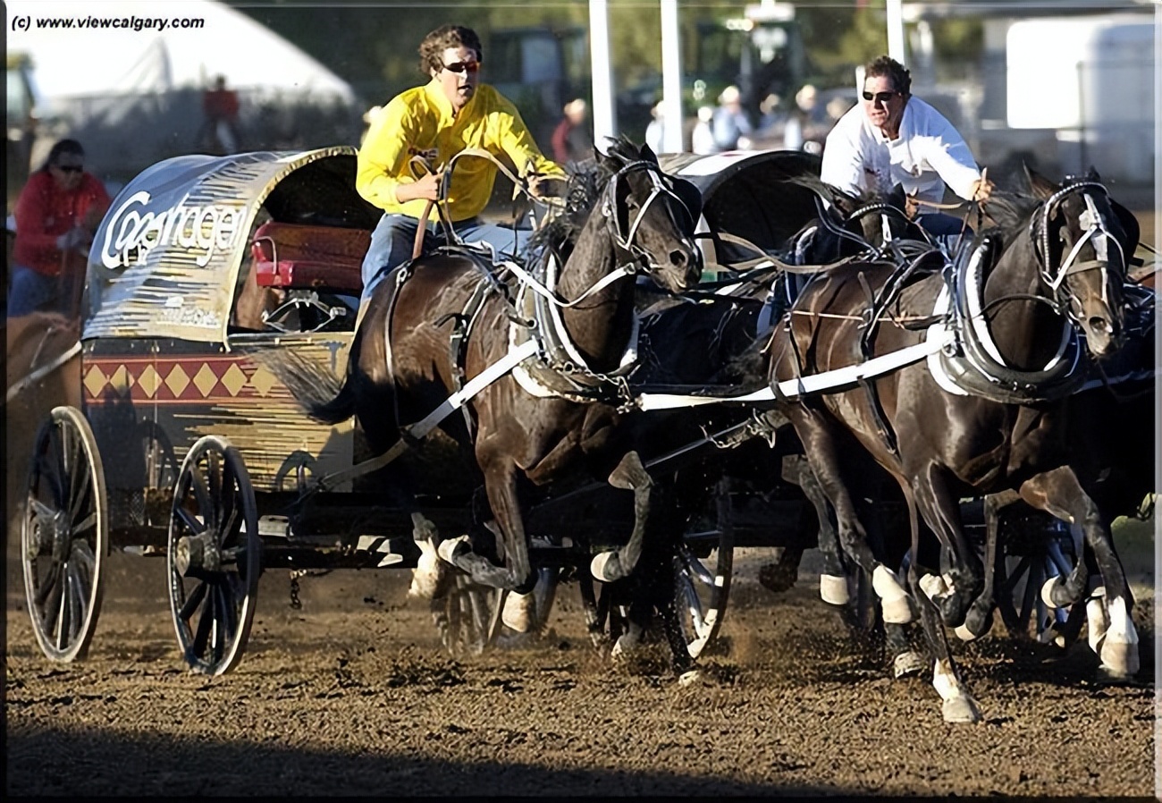 Chariot Races in Ancient Rome in the Sixteenth Century: Public ...