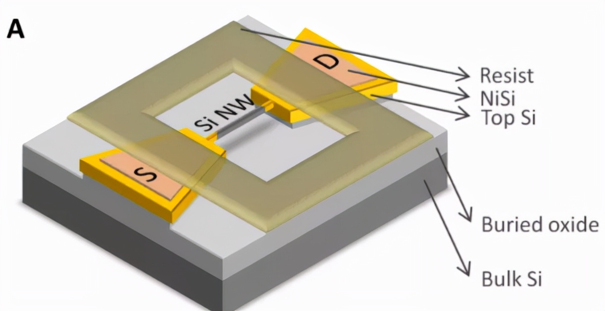 Alumni of the University of Science and Technology of China developed ...