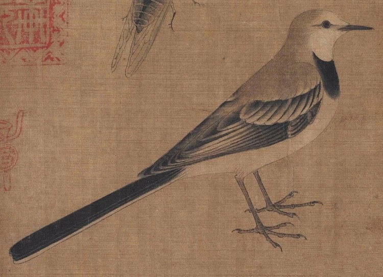 The Five Dynasties Huang Quan's "Sketch of Rare Birds": The beard and ...