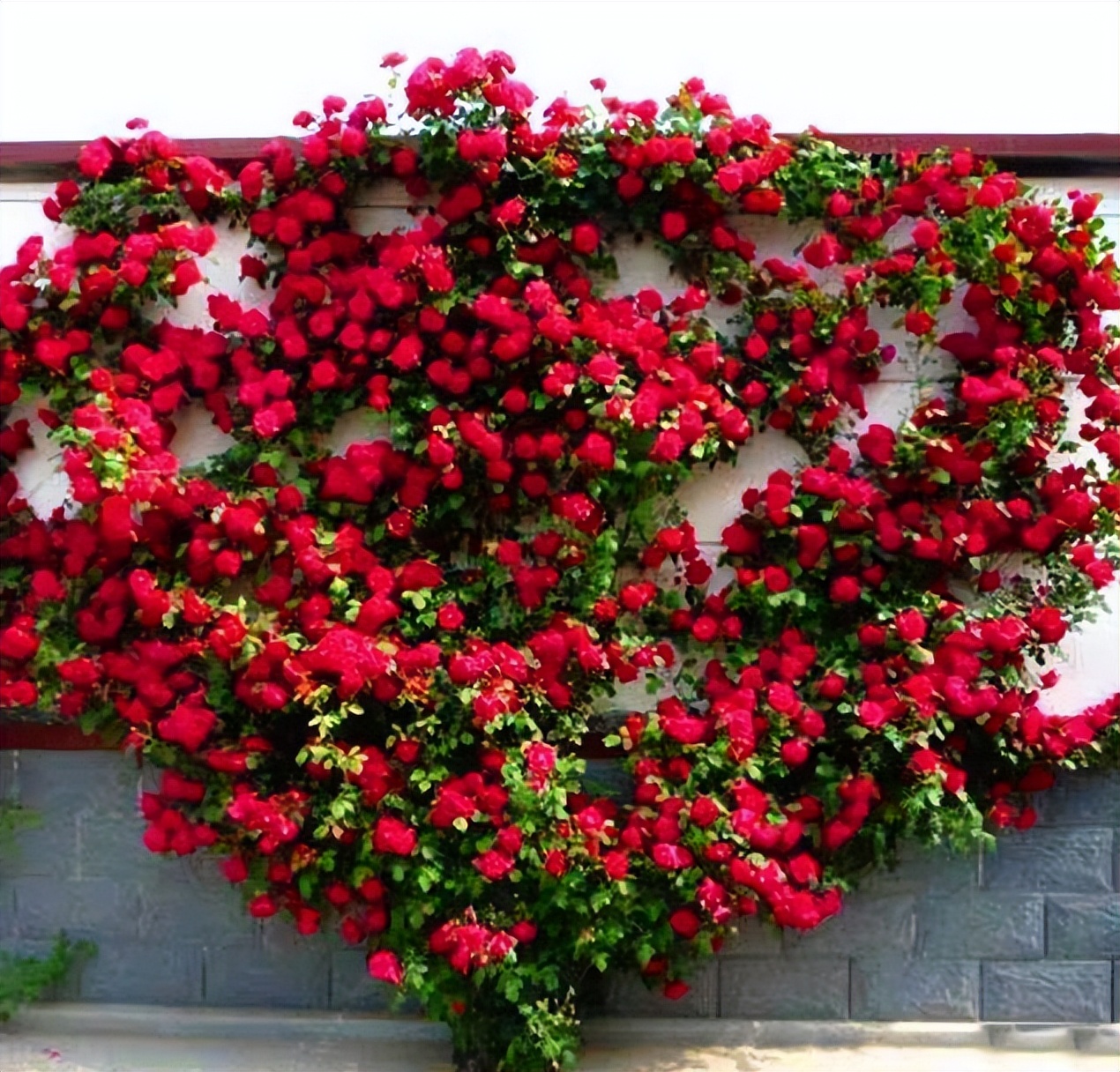 It is called the "flowering machine", planting 2 gardens into a sea of ...