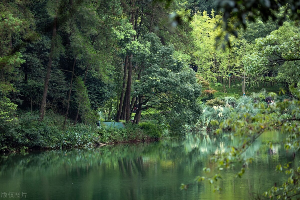 On a romantic spring day, let's go for an outing! 8 beautiful parks in ...