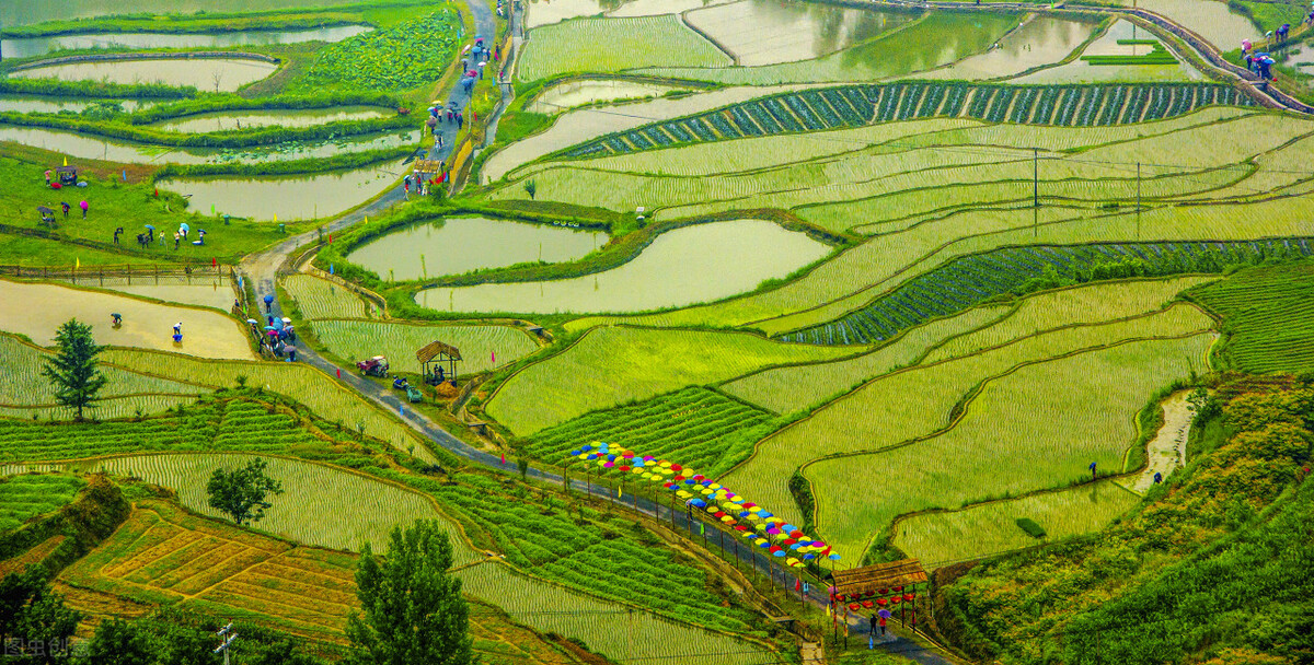 Reading the book "Rural China": If you want to understand our human ...