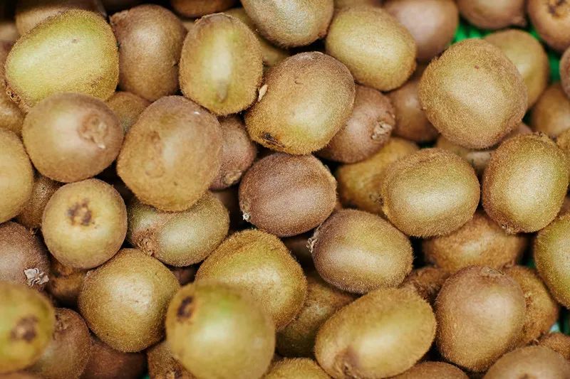 About the past and present of kiwi fruit - iNEWS