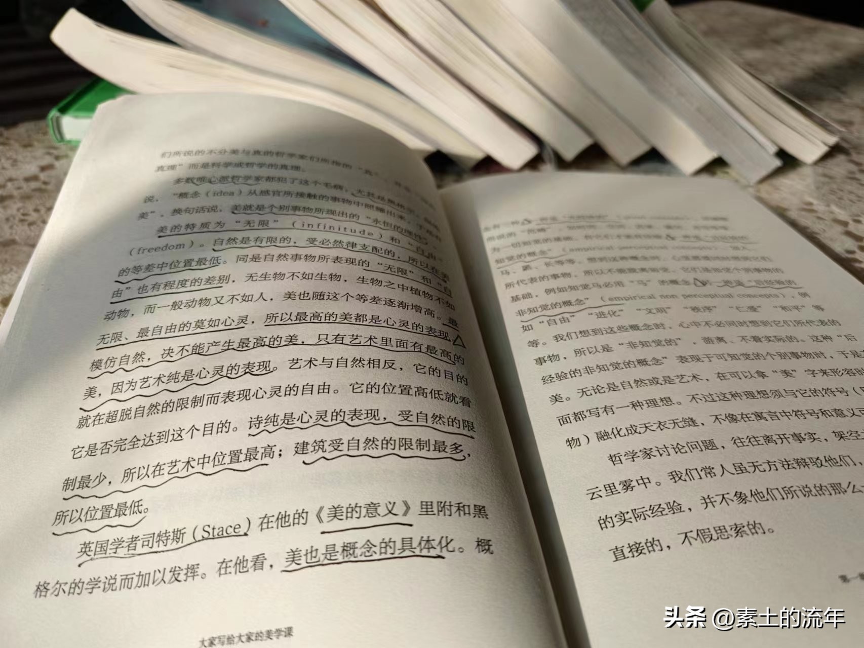 "Aesthetics Lessons Written by Everyone": What is beauty? What exactly ...