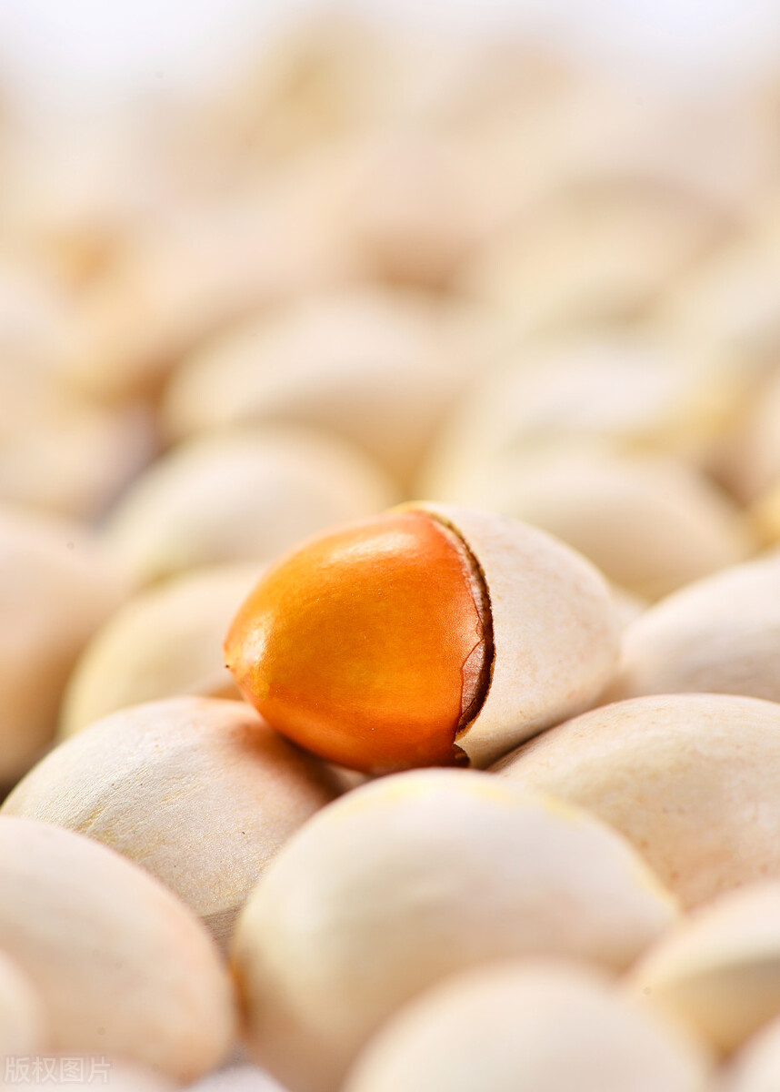 7 will die! Ginkgo biloba is poisonous, why is it planted all over the ...