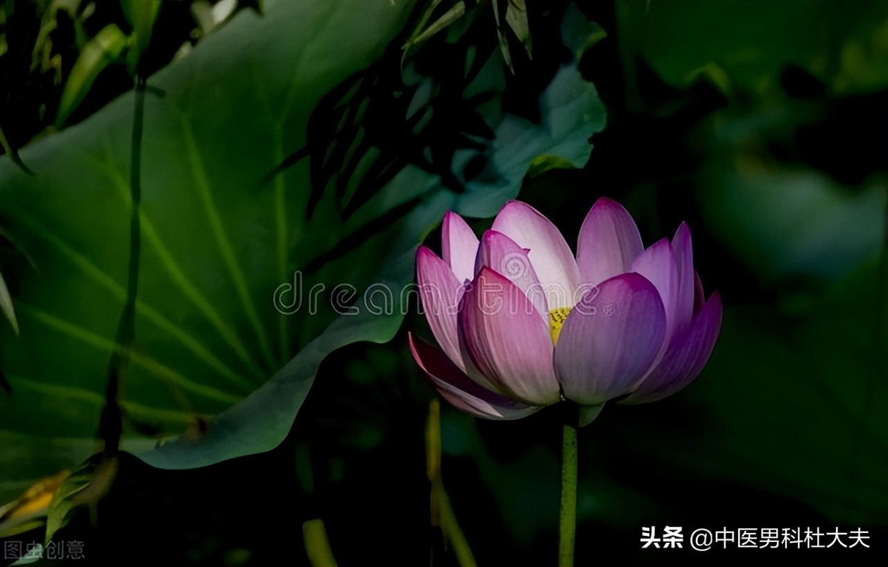 Ten years of damage to essence, kidney and yang deficiency, frequent ...