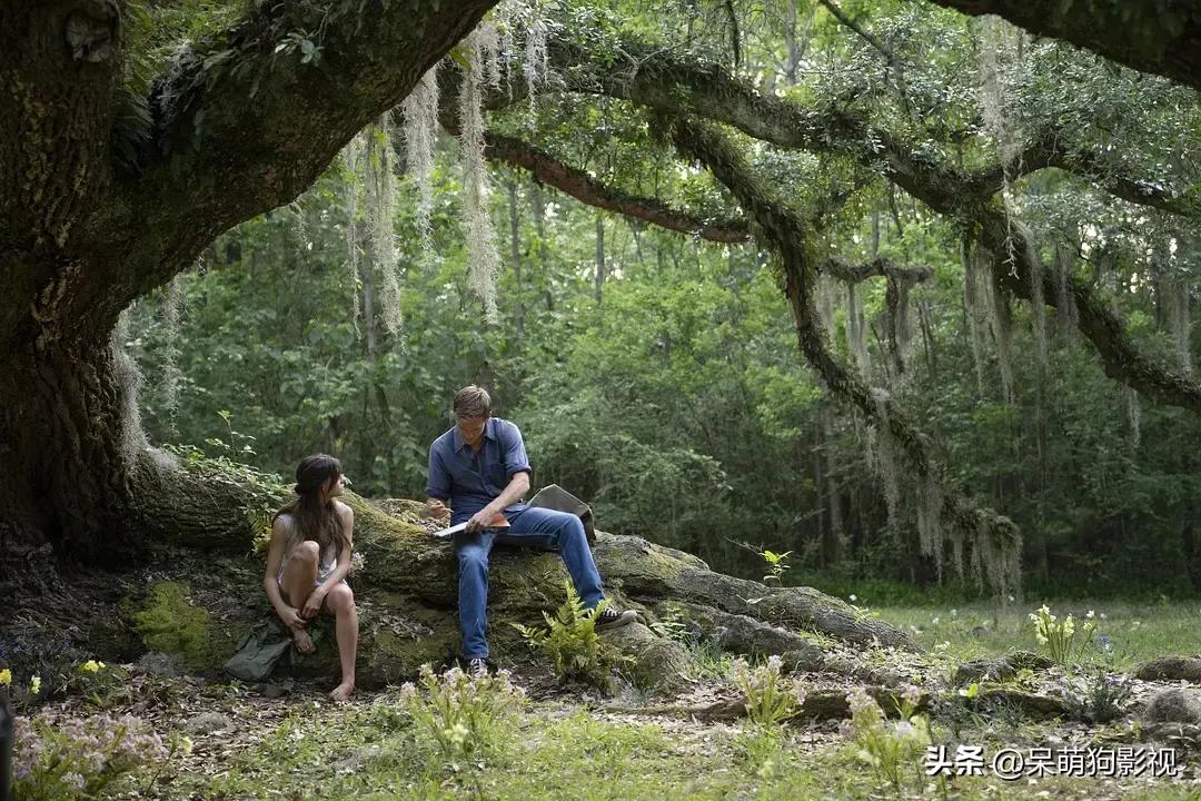 "The Girl in the Swamp" The healing love of the swamp girl is expected ...