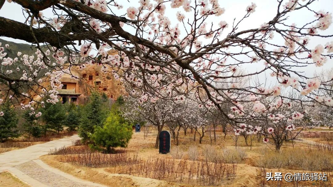 Yinchuan to Guyuan, how to play? - iNEWS