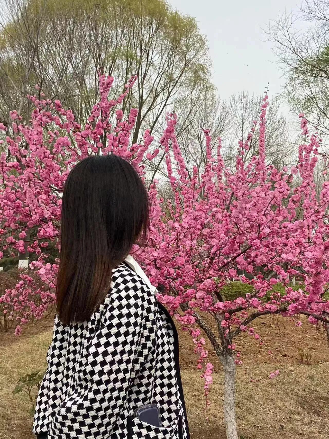 Hey let's have a spring outing together! ? - iMedia