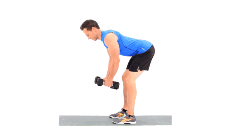 What can I do with 5kg dumbbells? - iNEWS