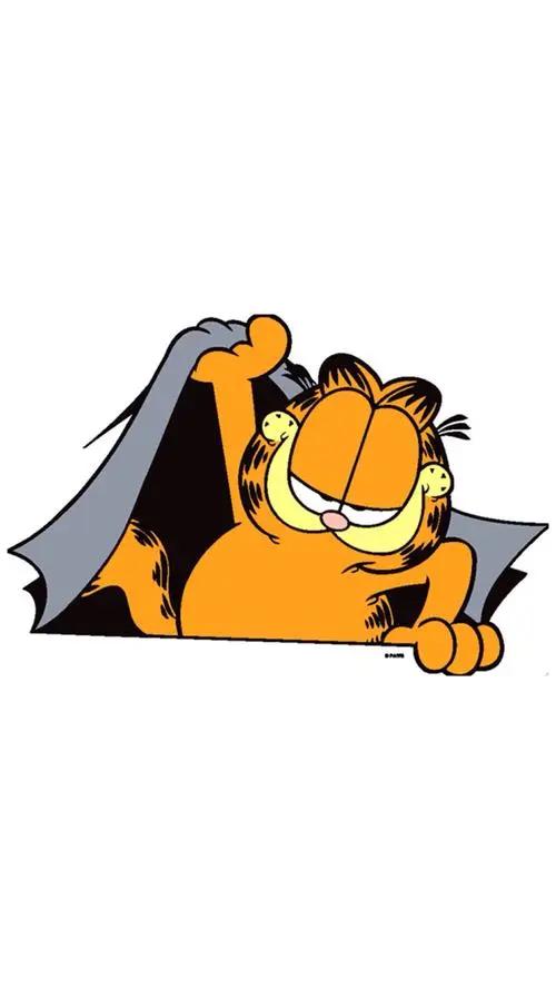 "Garfield" American funny animal animation image, attracting many ...