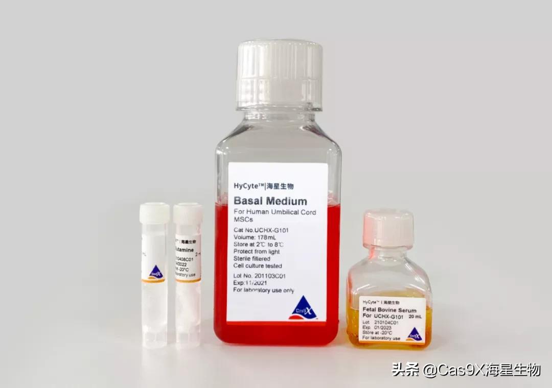 Those things about cell culture - iNEWS