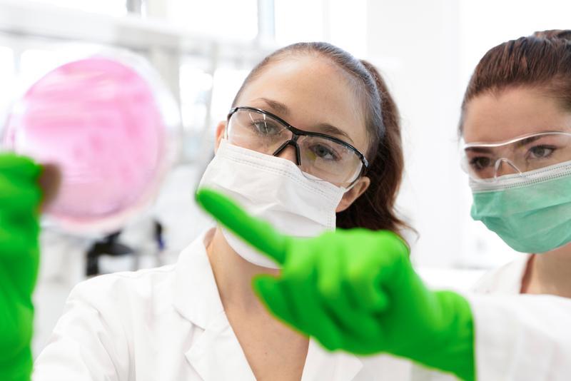 Roche Diagnostic Biochemical Raw Materials—Myocardium - iNEWS