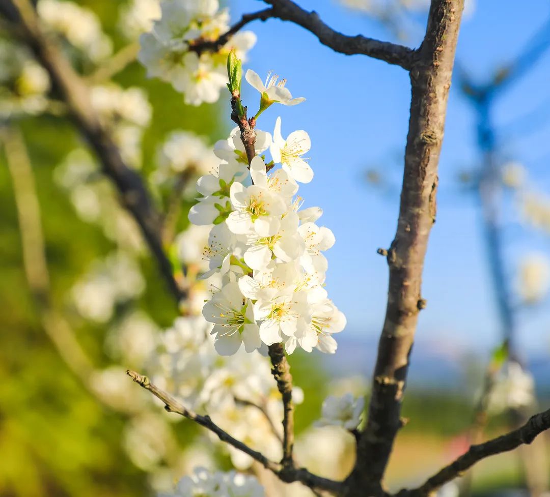 Play jungle rafting and get a big ticket for the scenic spot! - iMedia